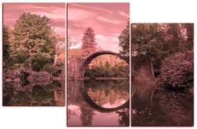 Obraz na plátně - Most v parku v Kromlau 1246VD (105x70 cm)