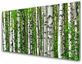 akrylový obraz Les Rostlina Příroda 125x50 cm