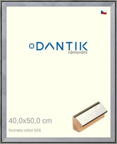 DANTIK rámeček 40x50 | INCLINATA colori Bílá (Plexi Čiré)