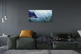 Obrazy na plátně Umbrella dešťové kapky 120x60 cm