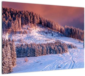 Skleněný obraz zimní krajiny (70x50 cm)