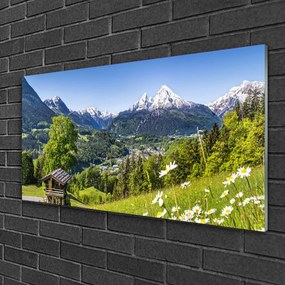 Obraz na skle Hora Pole Příroda 125x50 cm