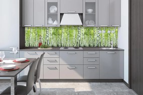 DIMEX | Fototapeta do kuchyně Jarní březový háj KI-260-193 | 260 x 60 cm | zelená, černá, bílá