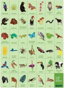 Mudpuppy Puzzle Hledání v deštném pralese / 64 dílků