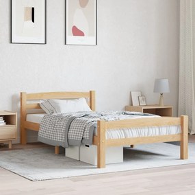vidaXL Rám postele masivní borové dřevo 100 x 200 cm [322090] Barva: Tmavě šedá