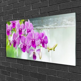 Obraz na skle Orchideje Kapky Příroda 125x50 cm