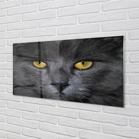 akrylový obraz Černá kočka 125x50 cm