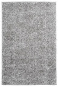 Kusový koberec Emilia 250 silver 80 x 150  cm