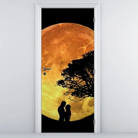 Fototapeta na dveře - Stíny v měsíčním světle (95x205cm)