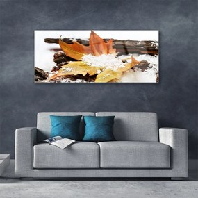 Plexisklo-obraz List Les Podzim Příroda 125x50 cm