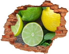 Wallmuralia Samolepící nálepka Limetka a citron 90x70 cm