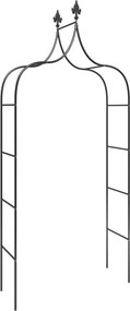 Zahradní oblouky 2 ks černé 120 x 38 x 260 cm ocel 319349