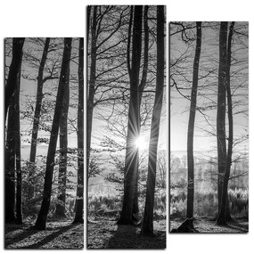 Obraz na plátně - Podzimní ráno v lese - čtverec 3251QC (105x105 cm)
