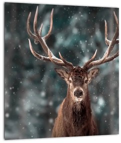 Obraz - Majestátnost jelena (30x30 cm)