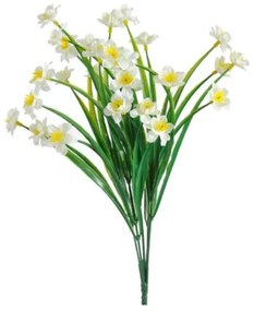 narcis mini - trs - krém/žlutá