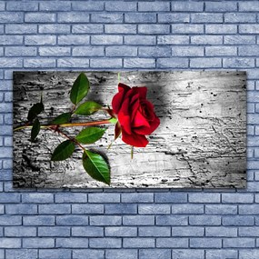 Obraz na plátně Růže Květ Rostlina 100x50 cm