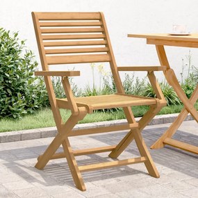 Skládací zahradní židle 2 ks 54,5x61,5x86,5 cm masivní akácie - Default Title
