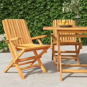 Skládací zahradní židle 2 ks 61x67x90 cm masivní teakové dřevo - Default Title