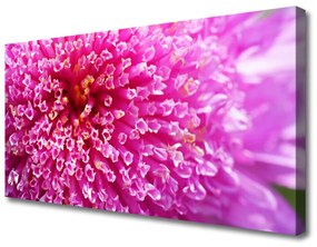 Obraz na plátně Květ 100x50 cm