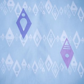 Jerry Fabrics Disney povlečení do postýlky Frozen Elements baby 100x135, 40x60 cm