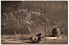 Obraz na plátně - Zátiší - větev a granátové jablko 1274FB (105x70 cm)