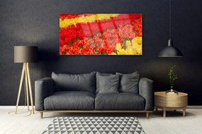 akrylový obraz Tulipány Květiny 120x60 cm