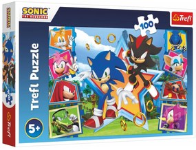 Trefl Puzzle Seznamte se se Sonicem/Sonic the Hedgehog 100 dílků 41x27,5cm v krabici 29x19x4cm