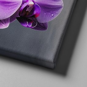 Obraz na plátně - Květ fialová orchidej FeelHappy.cz Velikost obrazu: 120 x 80 cm