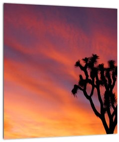 Obraz západu slunce nad siluetou stromu (30x30 cm)