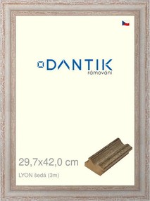 DANTIK rámeček 29,7x42 | LYON šedá (Plexi Čiré)