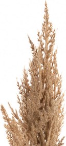 Větvička pampové trávy 90cm beige