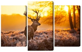 Vícedílný obraz Jelen V Lese Při Západu Slunce 3D Nedostatek Nedostatek Přírodní plátno 150x100