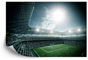 Fototapeta Fotbalový Stadion Omyvatelný vlies 300x210