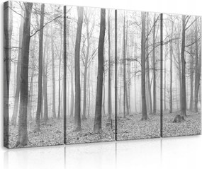 Obraz 120x80 Les v mlze monochromatická krajina, černobílé stromy, příroda
