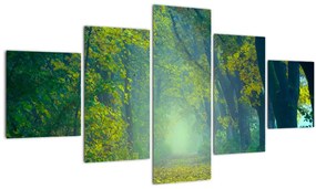Obraz cesty lemované stromy (125x70 cm)