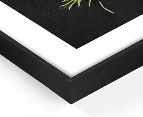 Obraz 50x70 cm Rosemary – Styler