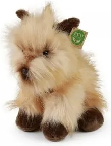 RAPPA Plyšový pes cairn teriér 30 cm / ECO-FRIENDLY / od 0 měsíců