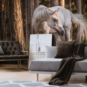 Fototapeta - Bílý kůň v lese (152,5x104 cm)