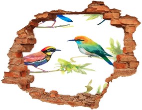 Wallmuralia Díra 3D fototapeta na stěnu Egzotičtí ptáci 90x70 cm