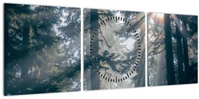 Obraz stromů s průsvitajícím sluncem (s hodinami) (90x30 cm)