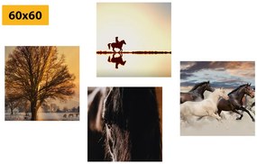 Set obrazů pro milovníky koní Varianta: 4x 60x60