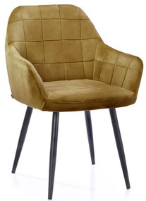 Čalouněná židle 56x45x84cm, více barev Barva: Hnědá