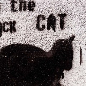 Ozdobný paraván Street Art Cat Graffiti - 145x170 cm, čtyřdílný, obustranný paraván 360°