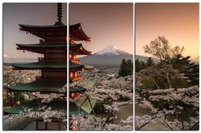 Obraz na plátně - Pohled na horu Fuji 161B (120x80 cm)