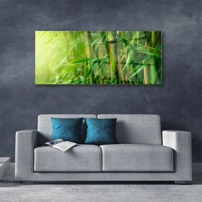 akrylový obraz Bambus Stonky Rostlina 125x50 cm
