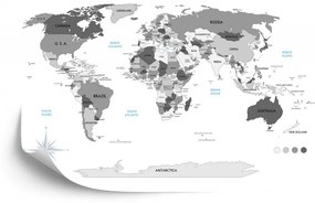 Fototapeta Mapa Světa Hladký vinyl 104x70.5