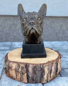Bronzová socha - Francouzský buldok - busta