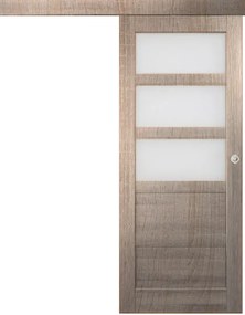 posuvné interiérové dveře na stěnu vasco doors BRAGA model 4 Průchozí rozměr: 70 x 197 cm, Orientace dveří: Levé dveře, Dekor: Dub stříbrný