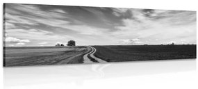 Obraz čarokrásná krajina v černobílém provedení - 120x40 cm