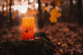 RETLUX RHW 010 Svíčka pavouk 1 LED 3000K - teplá bílá